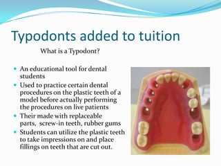 Melissa Godinez powerpoint dental typodonts | PPTX | Dental Health ...