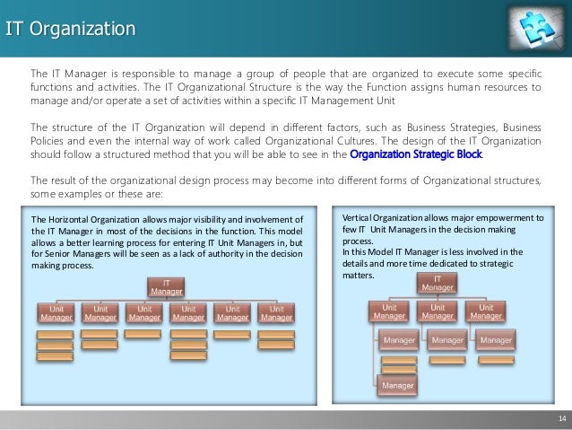 The IT Management Function