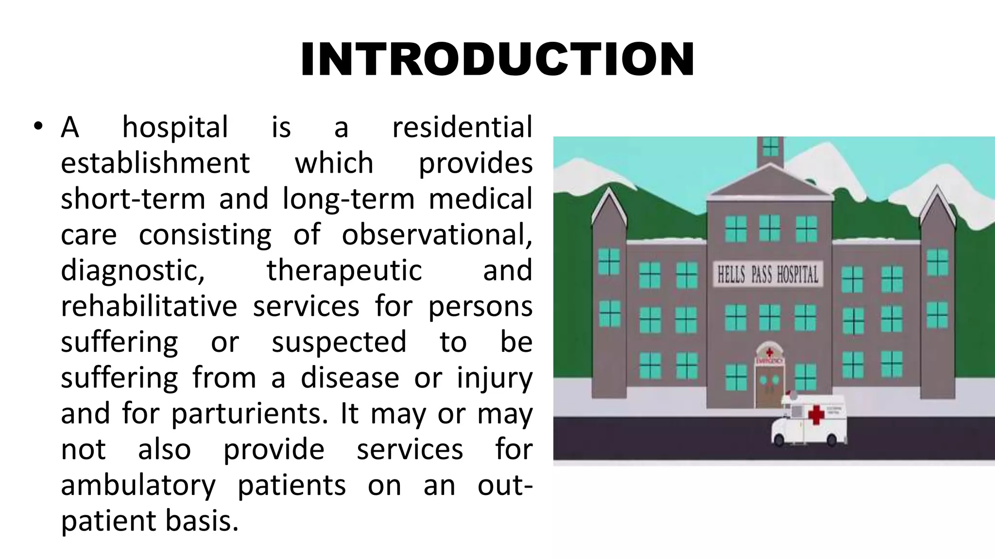 Planning and organizing: Hospital, unit and ancillary services | PPTX