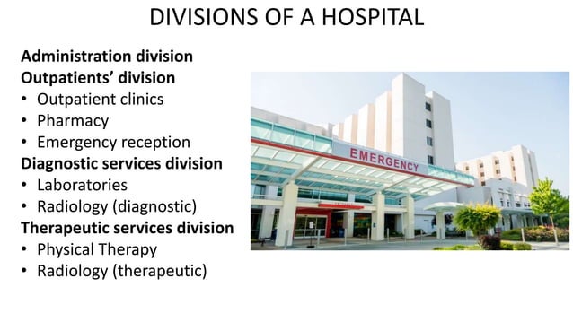 Planning and organizing: Hospital, unit and ancillary services | PPTX