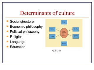 Mgnt4670 Ch 3 Differences In Culture | PPT
