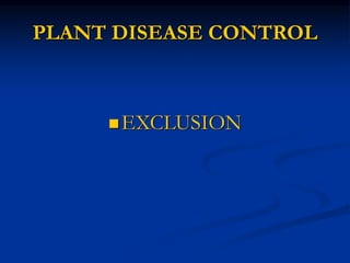 MG Plant Diseases 2006 3.ppt