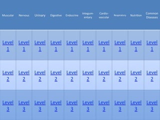 Human Body Jeopardy Board 1 | PPT | Heart and Cardiovascular Diseases ...