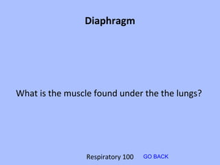 Human Body Jeopardy Board 1 | PPT | Heart and Cardiovascular Diseases ...