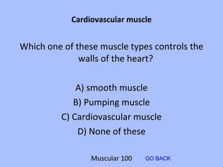 Human Body Jeopardy Board 1 | PPT | Heart and Cardiovascular Diseases ...