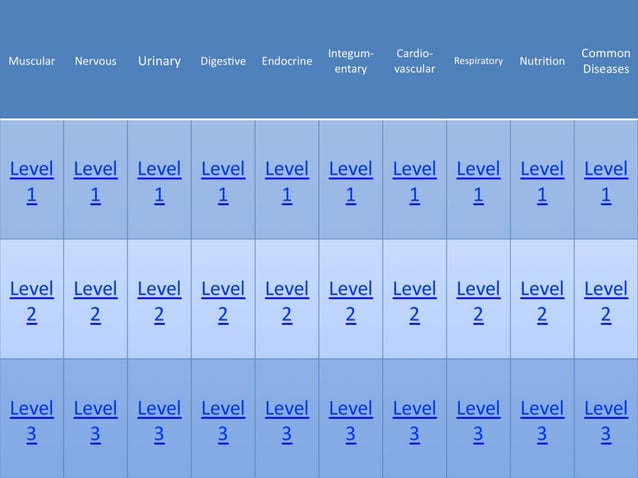 Human Body Jeopardy Board 2 | PPT