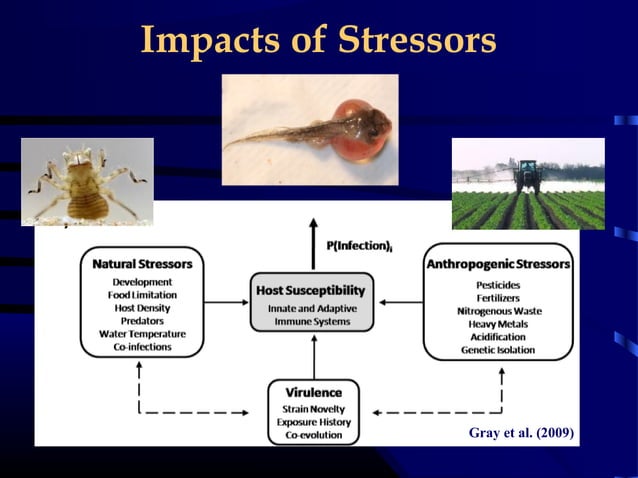 Ecology of Ranaviruses: State of Understanding | PPT
