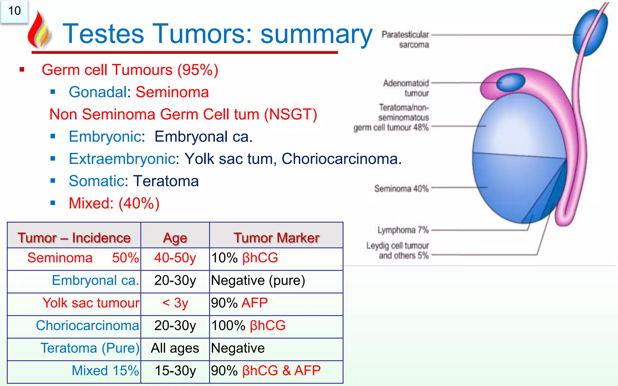 Pathology of Testes tumours | PPTX