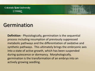 Mg seed germination workshop | PPTX