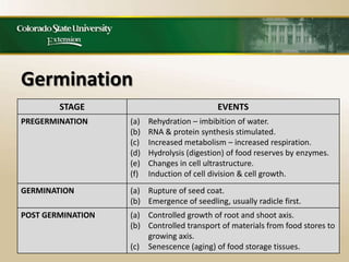 Mg seed germination workshop | PPTX