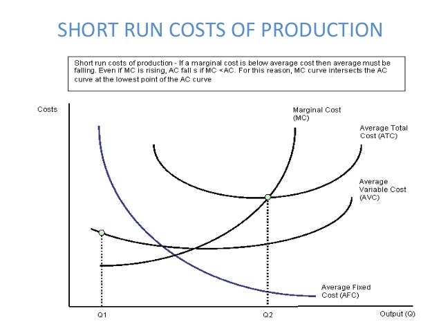 THEORY OF PRODUCTION AND COST