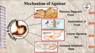 4. agnisar kriya | PPTX