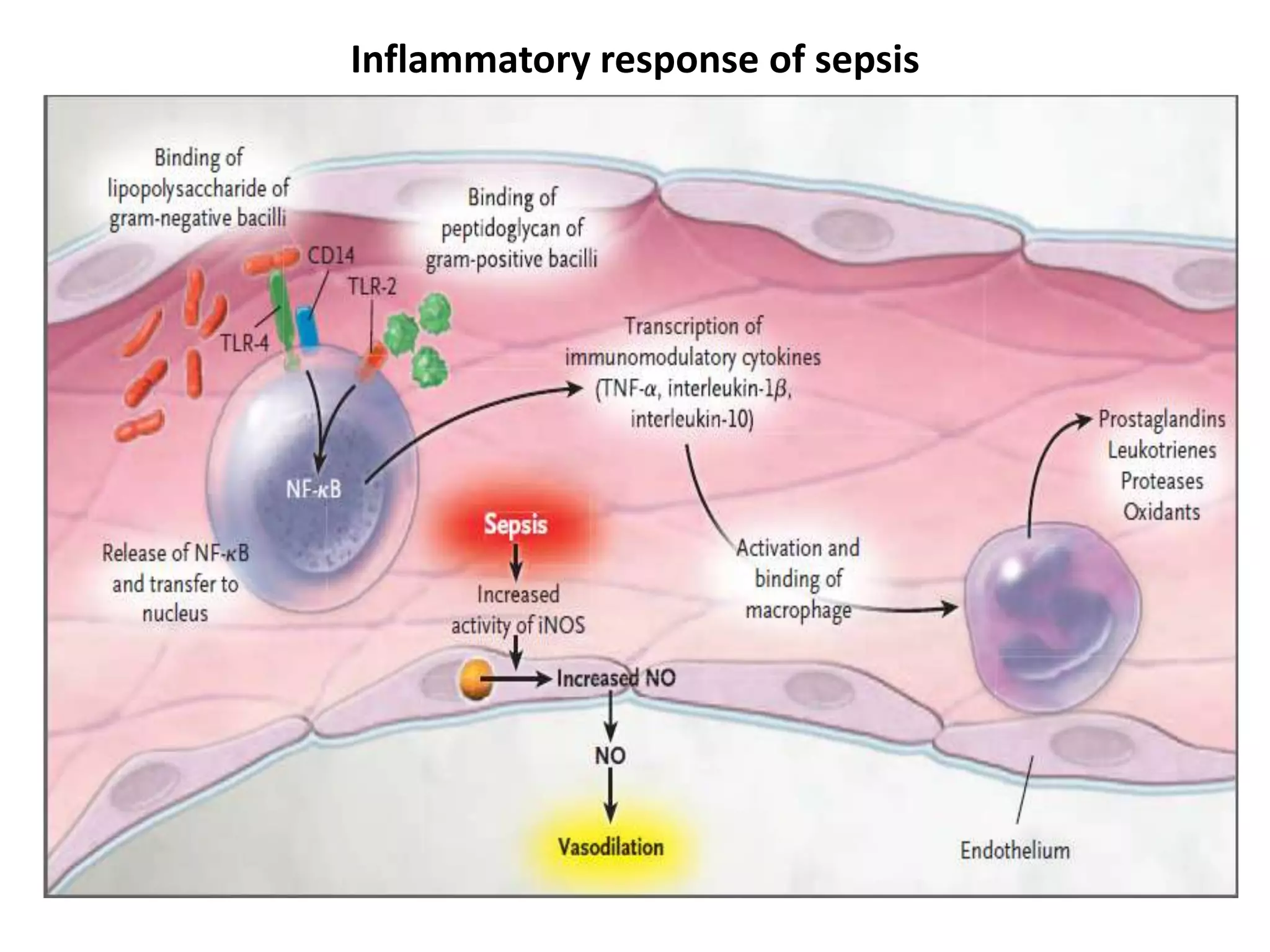 Management of sepsis | PPTX