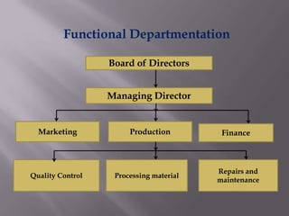 Departmentation | PPTX