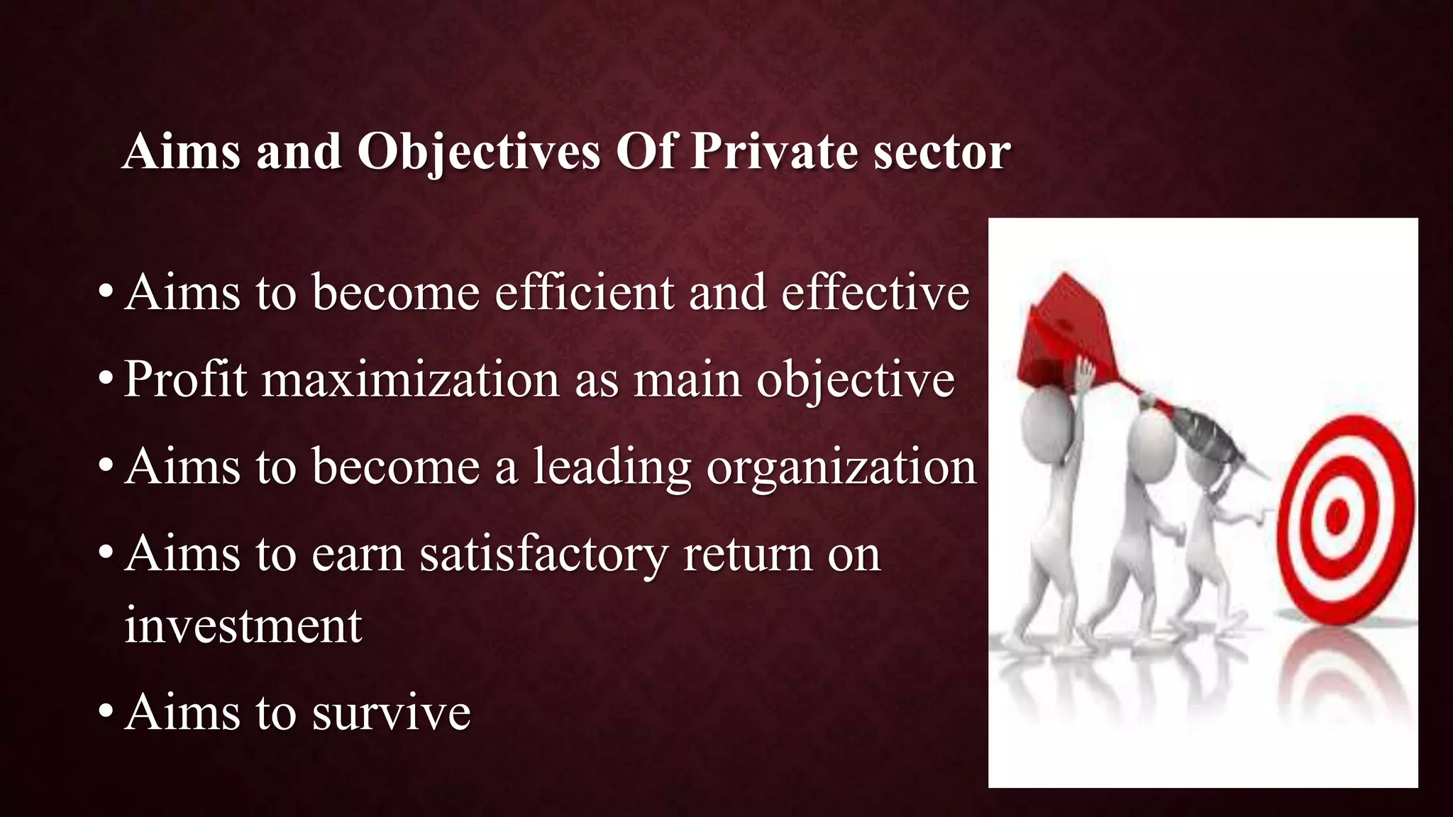 Public Sector Vs Private Sector | PPTX