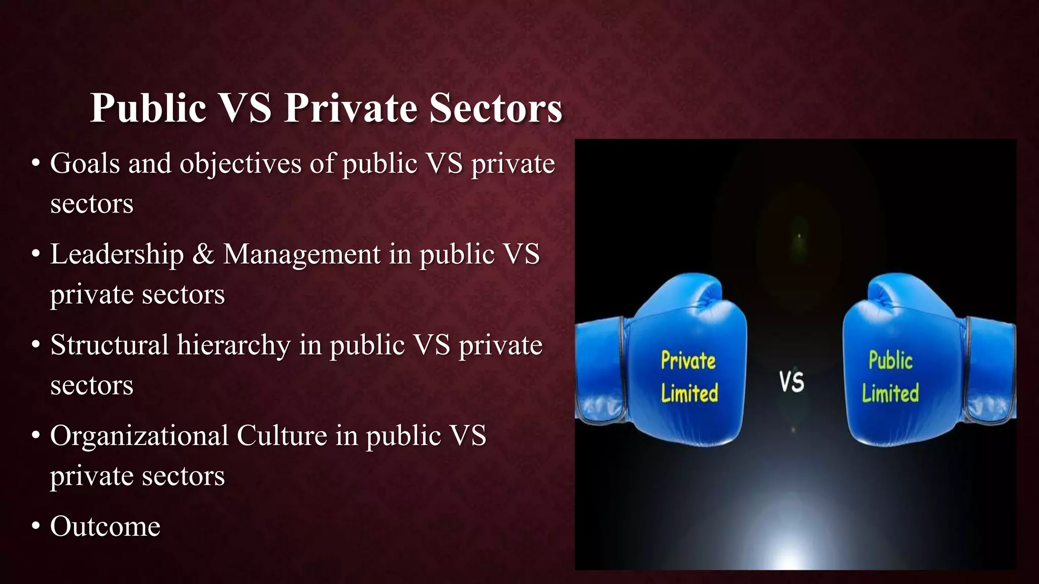 Public Sector Vs Private Sector | PPTX