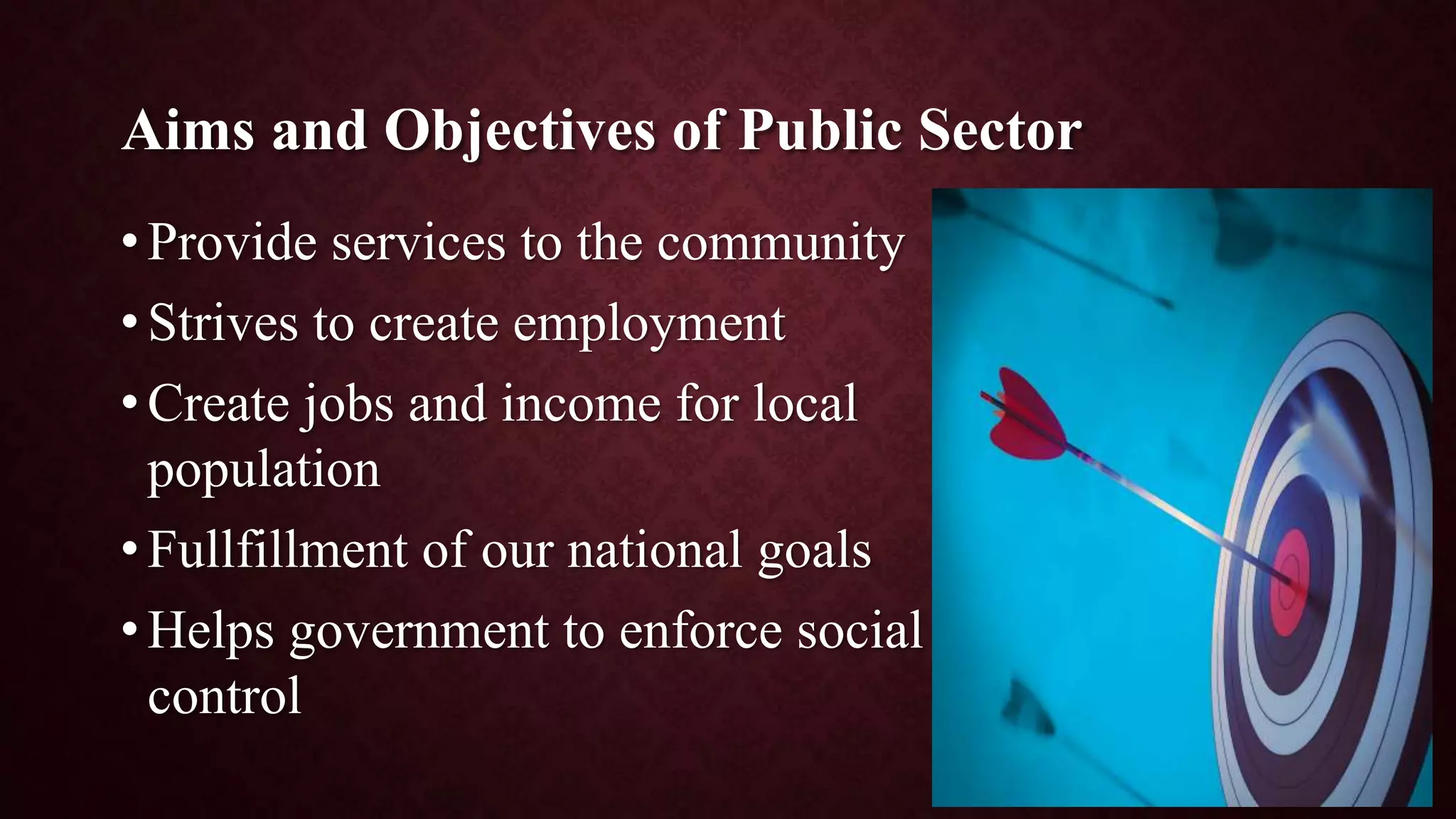 Public Sector Vs Private Sector | PPTX