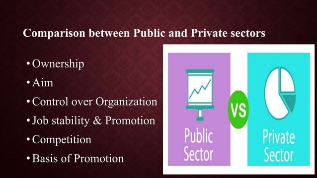 Public Sector Vs Private Sector | PPTX | Business | Business and Finance