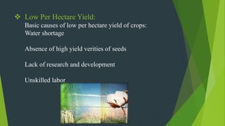 Agriculture Sector & its Problem by Bilal Tariq Meo | PPTX