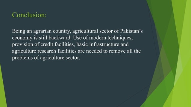 Agriculture Sector & its Problem by Bilal Tariq Meo | PPTX