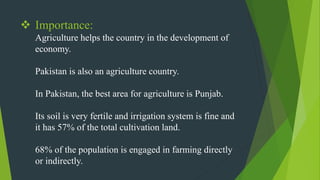Agriculture Sector & its Problem by Bilal Tariq Meo | PPTX