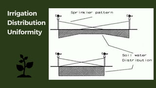 UF/IFAS Extension Irrigation Best Practices: Calibrating and Scouting ...
