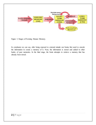 How human memory works | DOCX | Data Storage and Warehousing | Computing