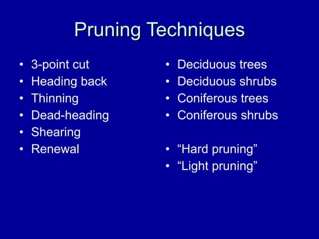 Vegetables A To Z | PPT