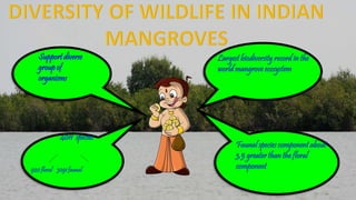 "WILDLIFE BIOLOGY OF ANIMALS AND BIRDS IN THE MANGROVE ECOSYSTEMS" | PPTX