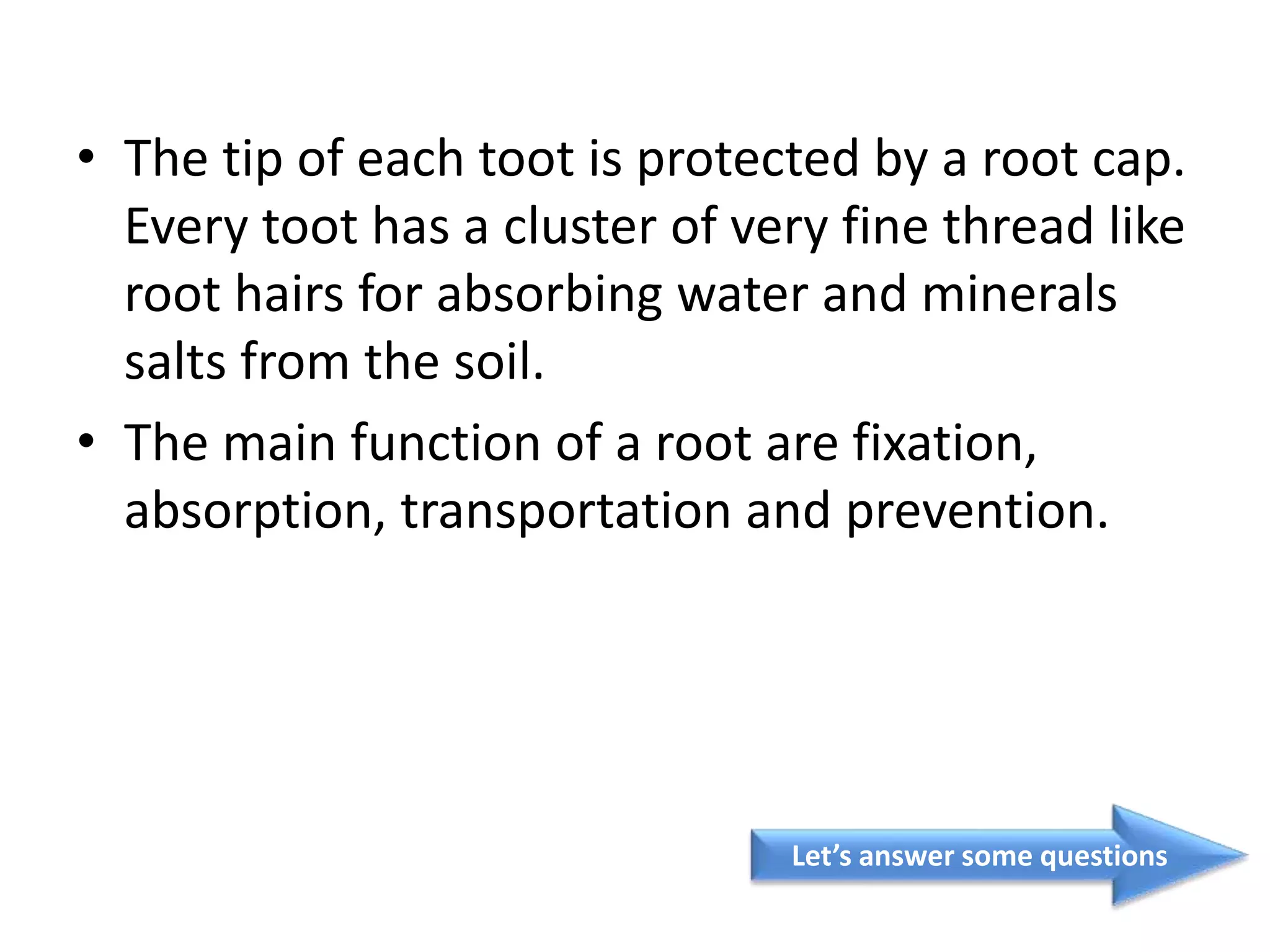 Programed instructional material: The Root System | PPTX