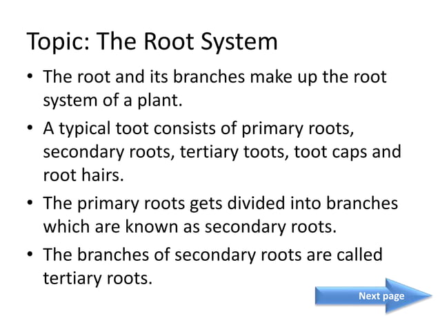 Programed instructional material: The Root System | PPT