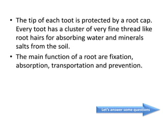 Programed instructional material: The Root System | PPTX