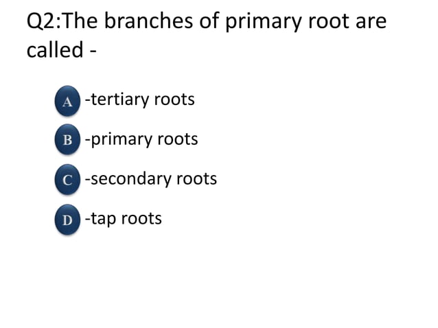Programed instructional material: The Root System | PPT