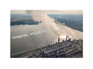 müh. 10 Antropogen amilin torpaq münbitliyinə təsiri.ppt