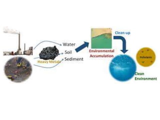 müh. 10 Antropogen amilin torpaq münbitliyinə təsiri.ppt