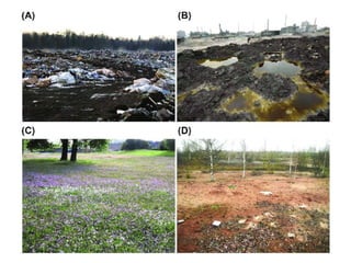 müh. 10 Antropogen amilin torpaq münbitliyinə təsiri.ppt