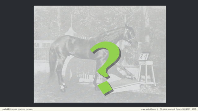 MHA2018 - Introduction to Observational Coaching - Daniel Lynn | PPT