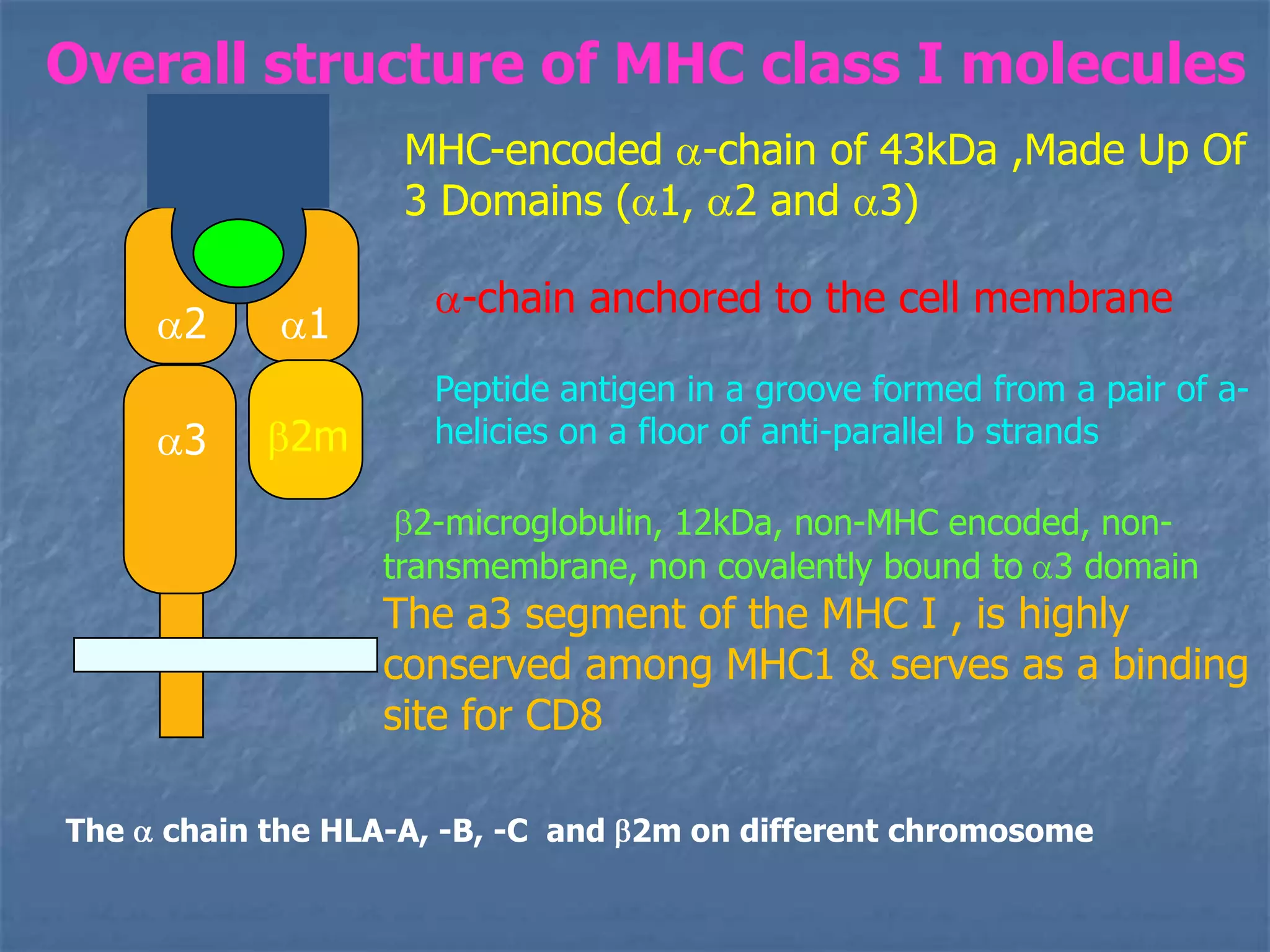 Major histocompatibility complex | PPTX