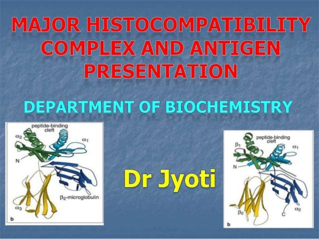 Major histocompatibility complex