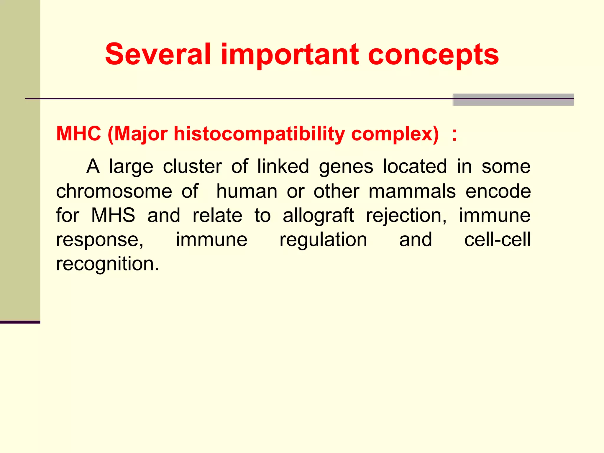 Major Histocompatibility Complex | PPT