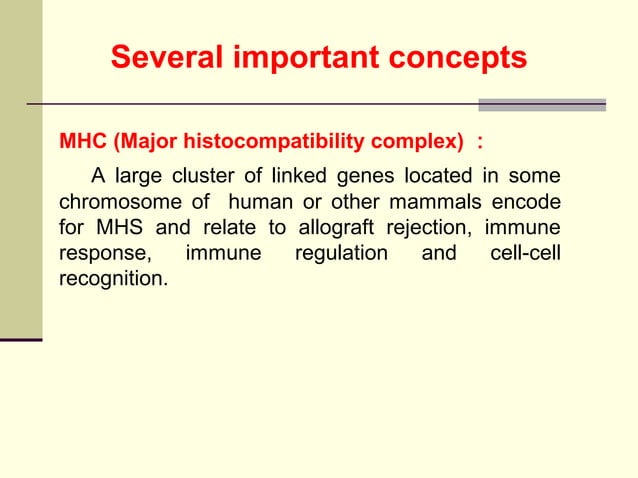 Major Histocompatibility Complex | PPT