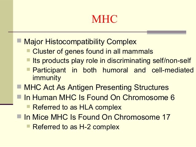 Major Histocompatibility Complex