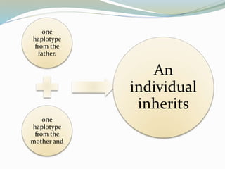 MHC: Major Histocompetability Complex | PPTX | Genetics | Science
