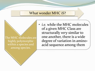 MHC: Major Histocompetability Complex | PPTX | Genetics | Science