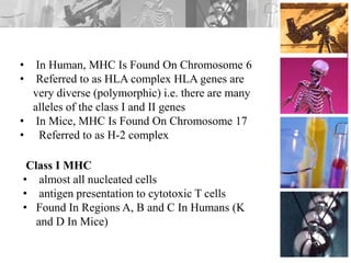 Major histocompatability complex | PPTX