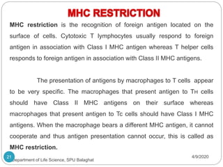 Major Histocompatibility Complex (MHC) | PPT