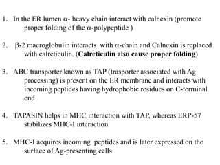 MHC, STRUCTURE AND FUNCTION | PPTX