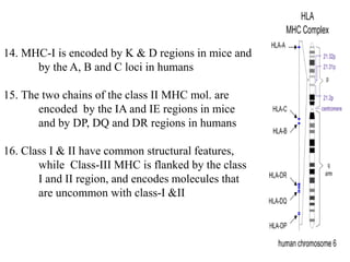 MHC, STRUCTURE AND FUNCTION | PPTX
