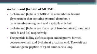 Mhc | PPTX