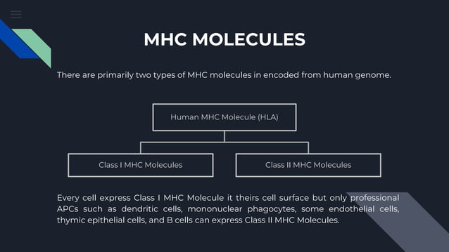 A Short Note on MHC Molecules | PPT | Free Download